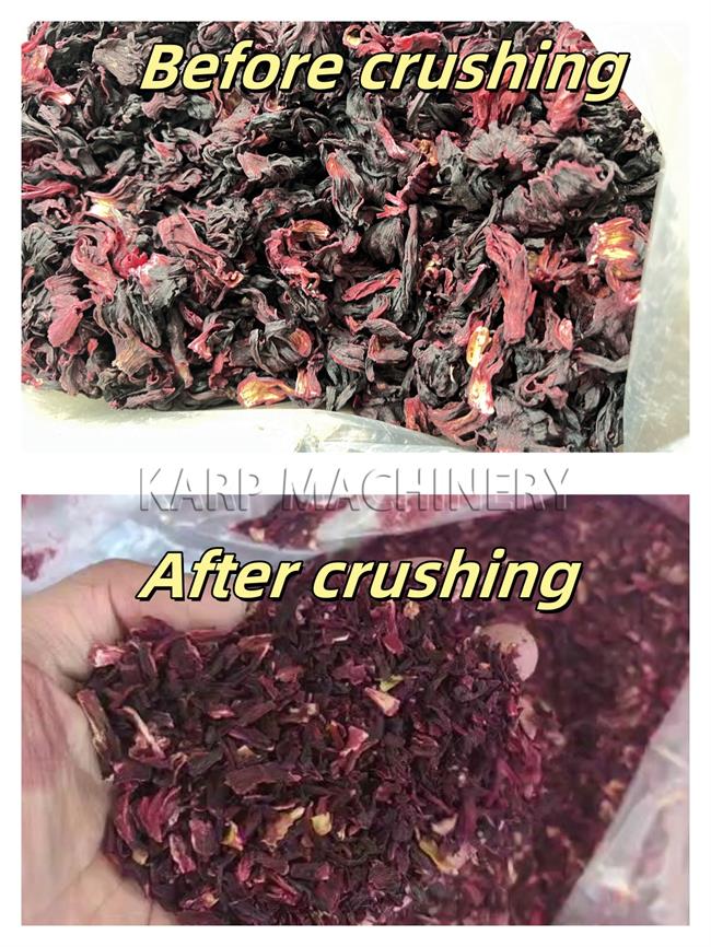 CSJ Crusher – Efficient Crushing Solution for Dried Hibiscus Flowers ...